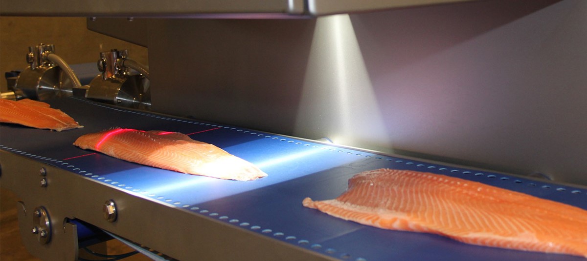 Seafood Media Group - Worldnews - The stage is set for Marel's ONLINE FISH EXPO (video)